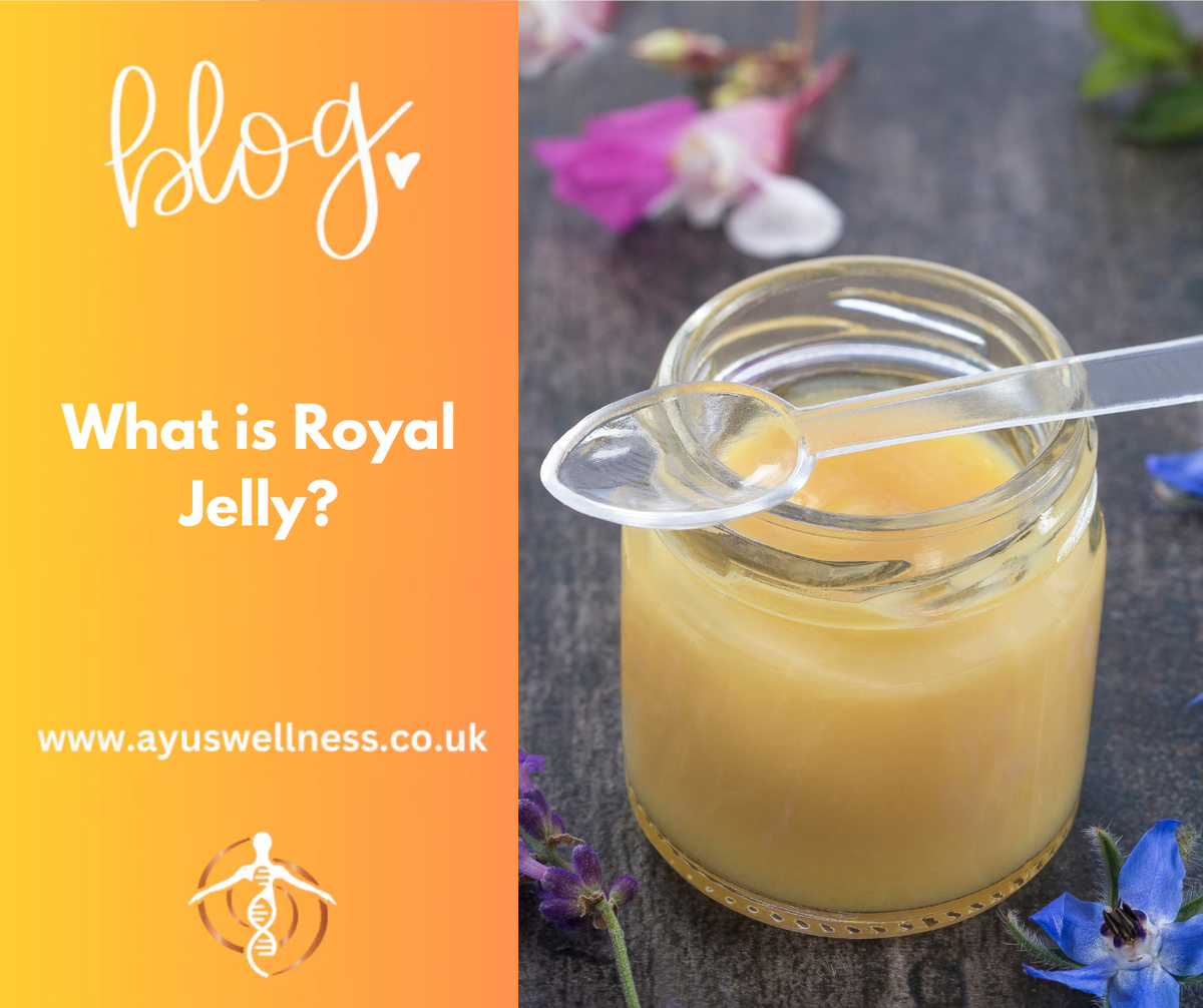 What is Royal Jelly? – Ayus Wellness