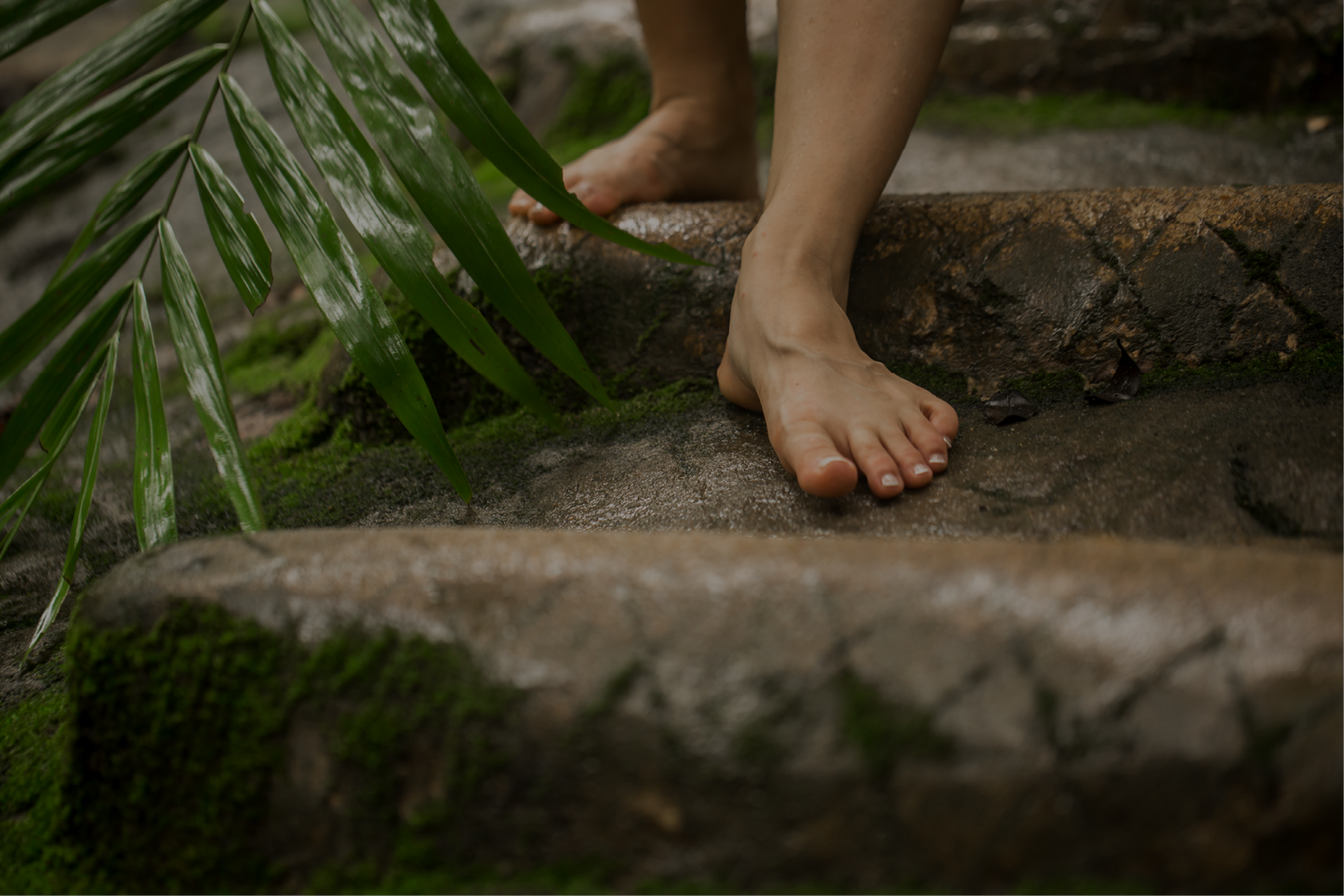 Ayus Wellness | PEMF Therapy Mats | Ionic Copper Body Brushes